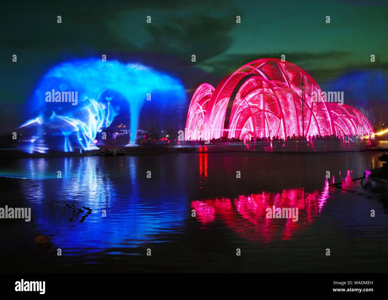 Holographic light show at Nanyang World Grand Rose Garden demonstrates ...