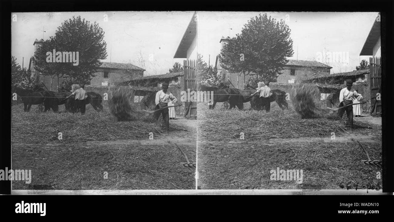 Dos homes batent el blat i cavalls (AFCEC BORDAS X 664 Stock Photo - Alamy