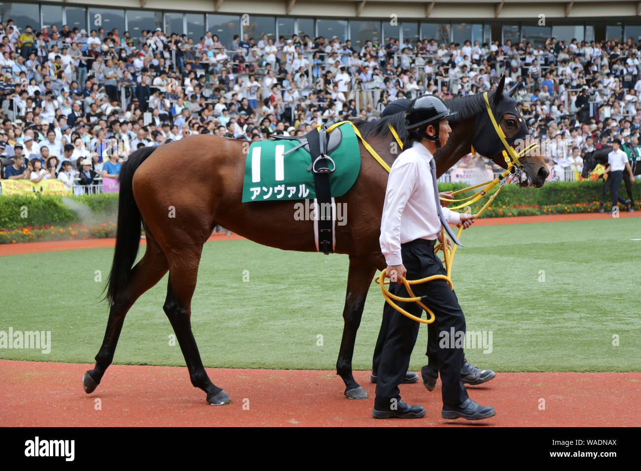Fukuoka, Japan. 18th Aug, 2019. Aonbharr Horse Racing : Aonbharr is led ...
