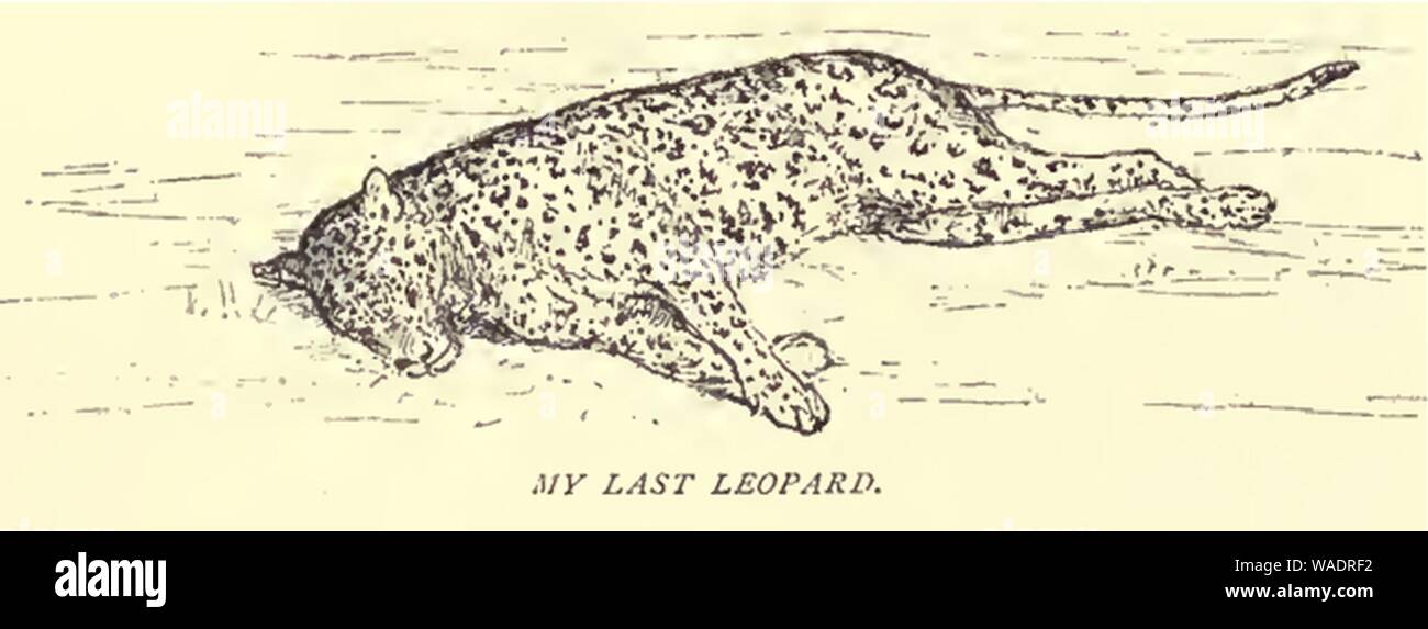 Feb 1870 hi-res stock photography and images - Alamy