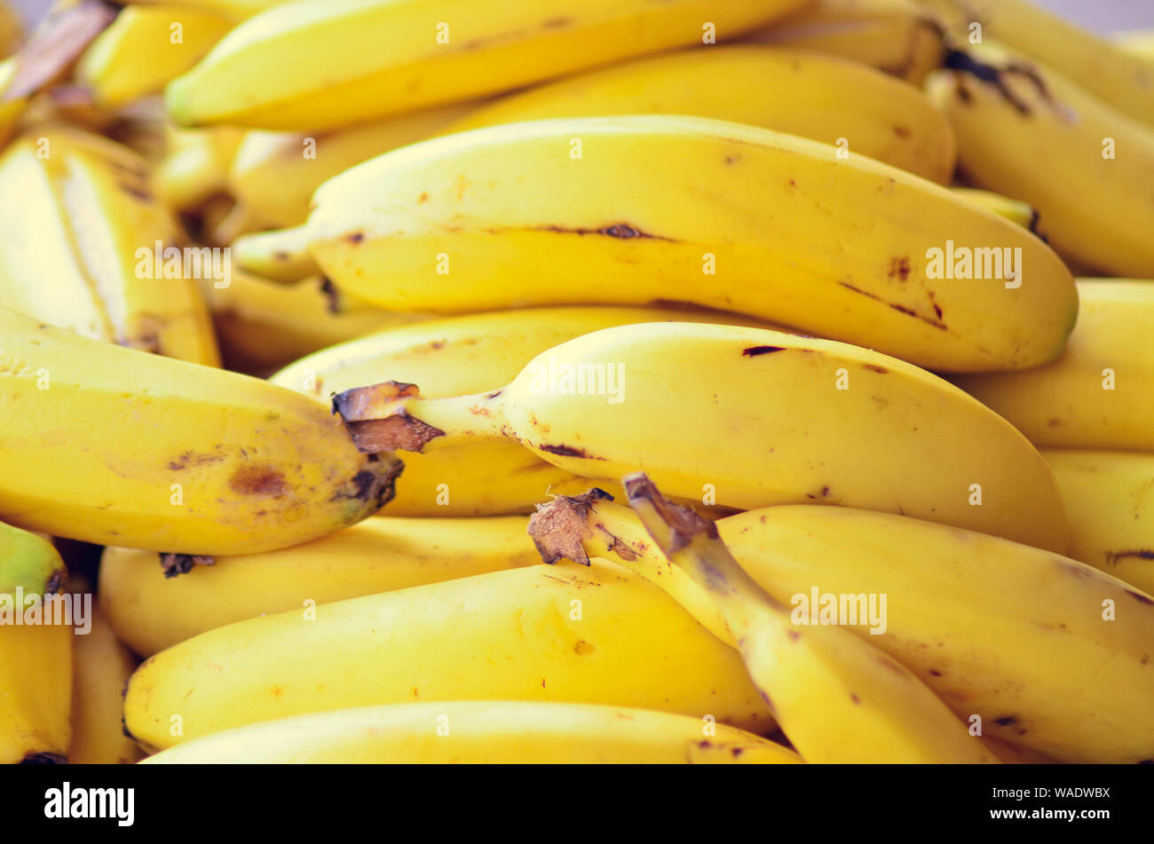 A lot of bananas hi-res stock photography and images - Alamy