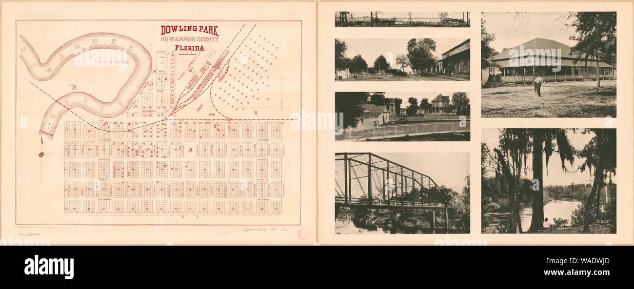 Dowling Park, Suwannee County, Florida Stock Photo - Alamy