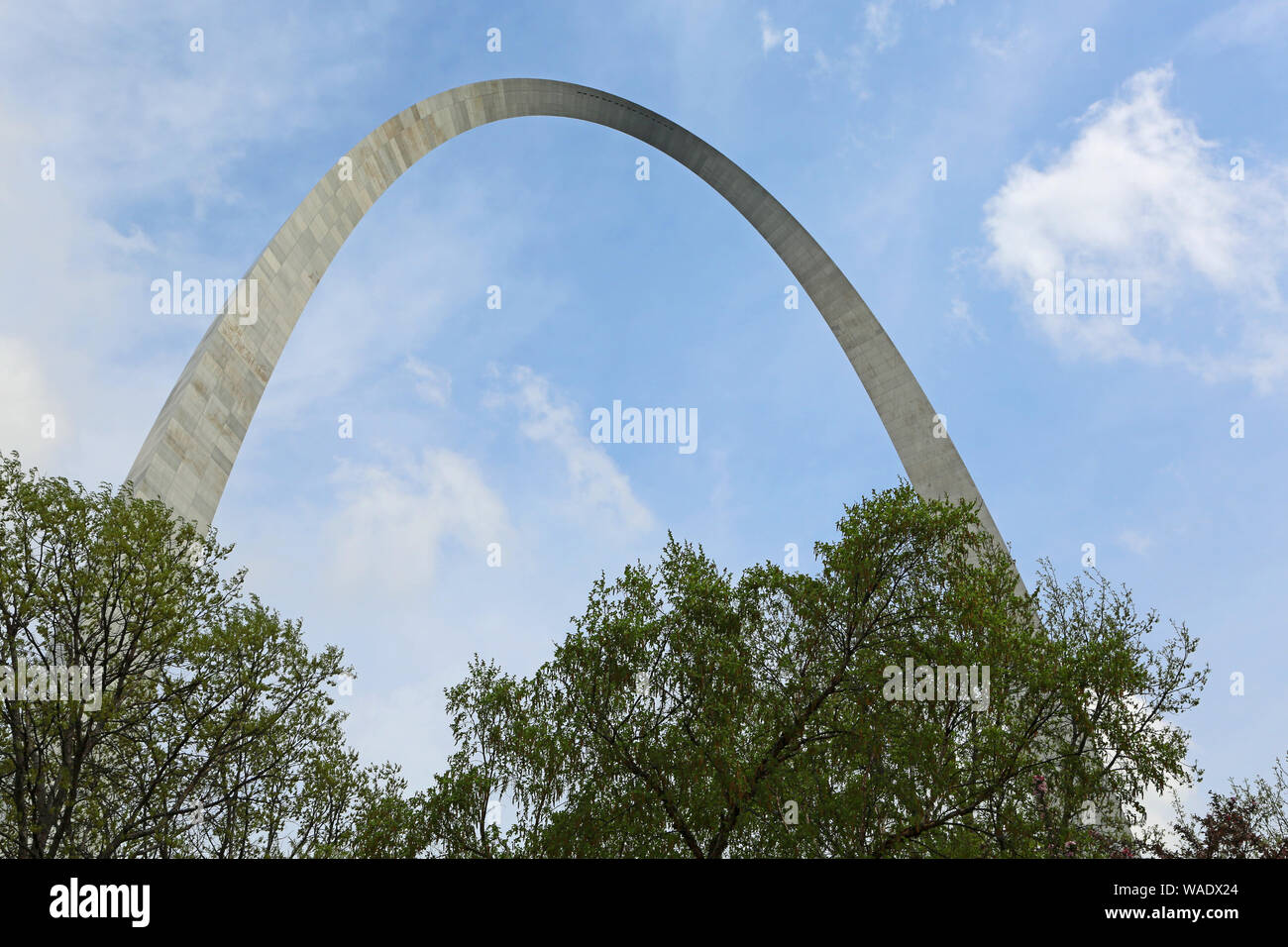 Gateway Arch over trees - St Louis, Missouri Stock Photo - Alamy