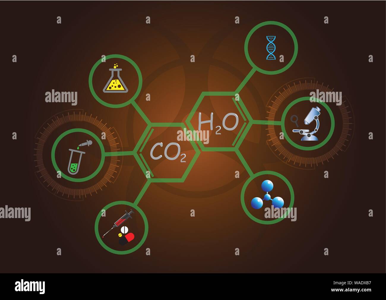 Medical laboratory infographics Stock Vector Image & Art - Alamy