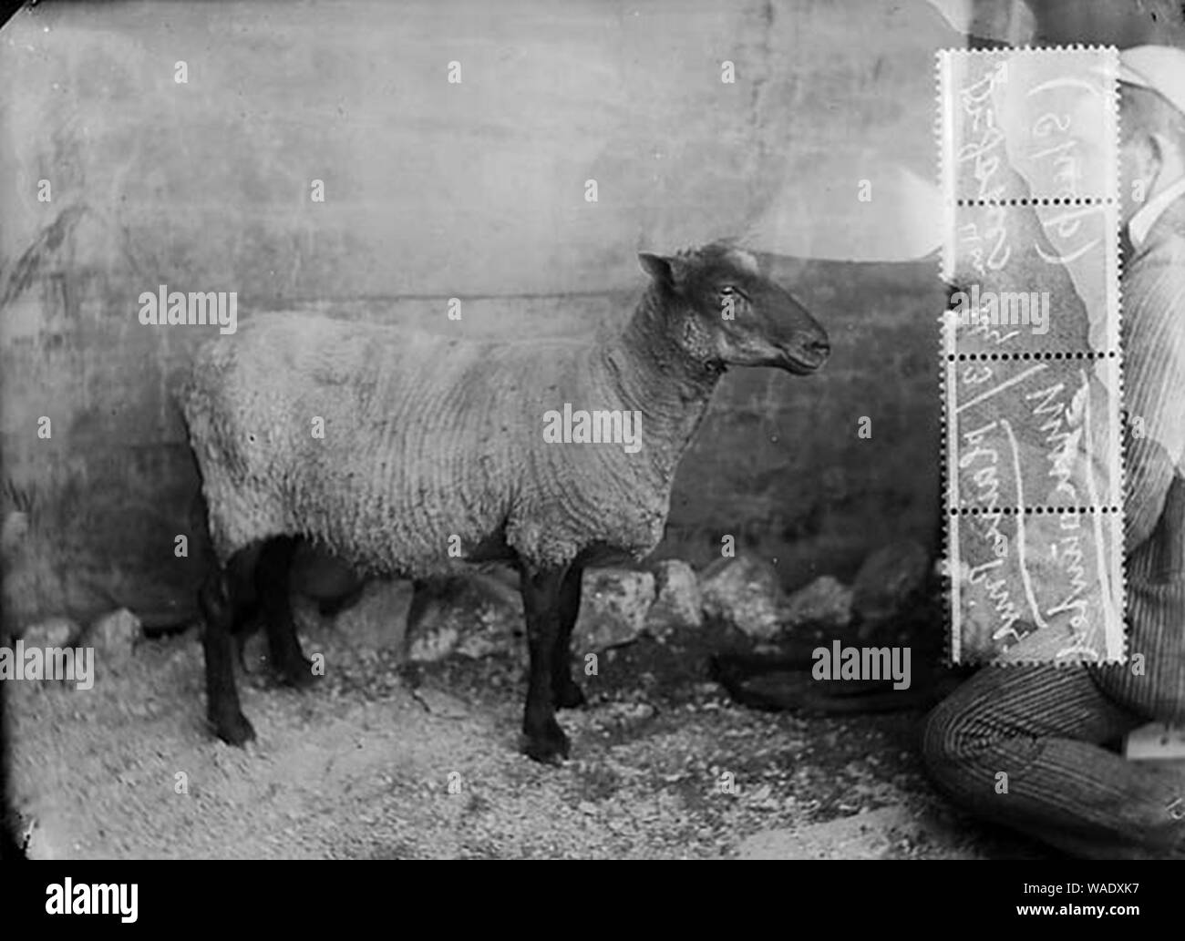 Llanboidy hi-res stock photography and images - Alamy