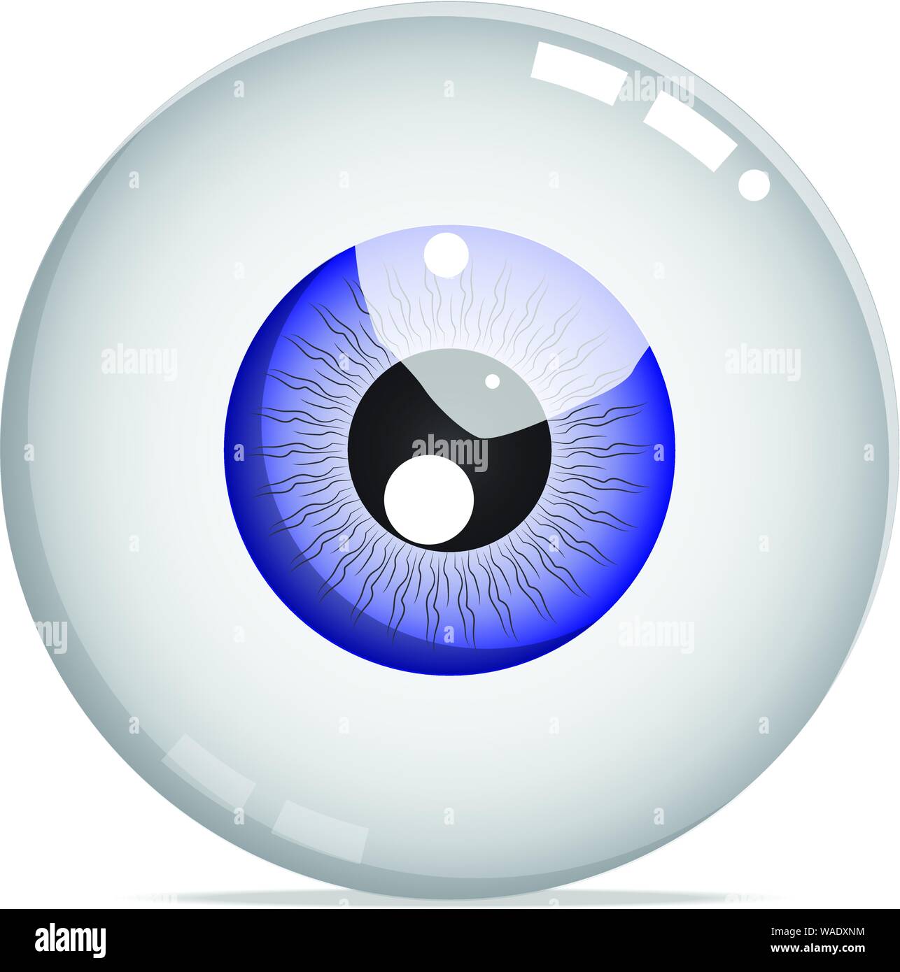 Nice blue eye ball vector Stock Vector Image & Art - Alamy