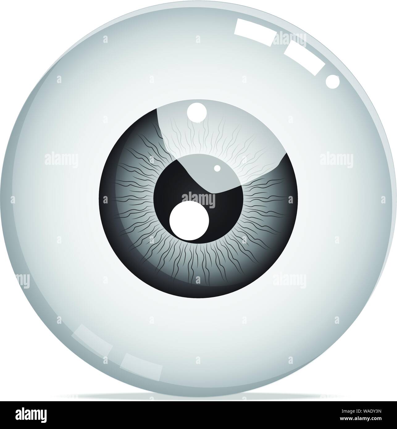 Nice black eye ball vector Stock Vector Image & Art - Alamy