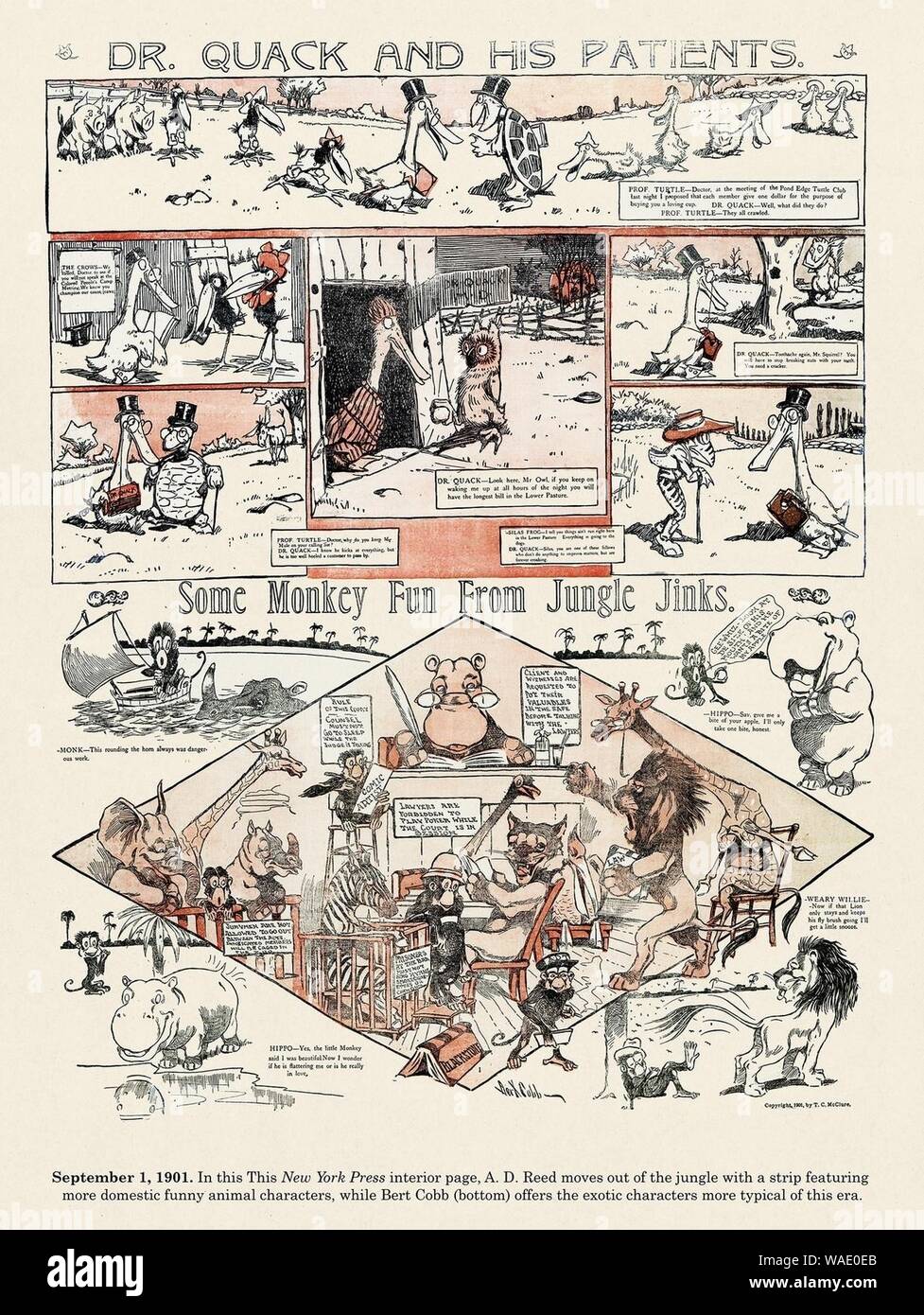 Dr. Quack and his Patients - Some Monkey Fun from Jungle Jinks Stock ...