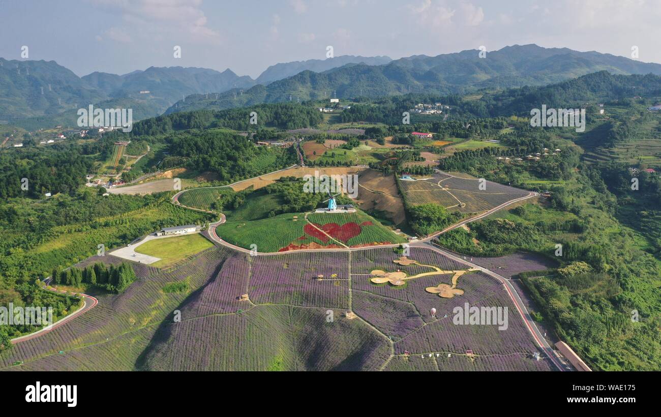 Tongzi flowers hi-res stock photography and images - Alamy