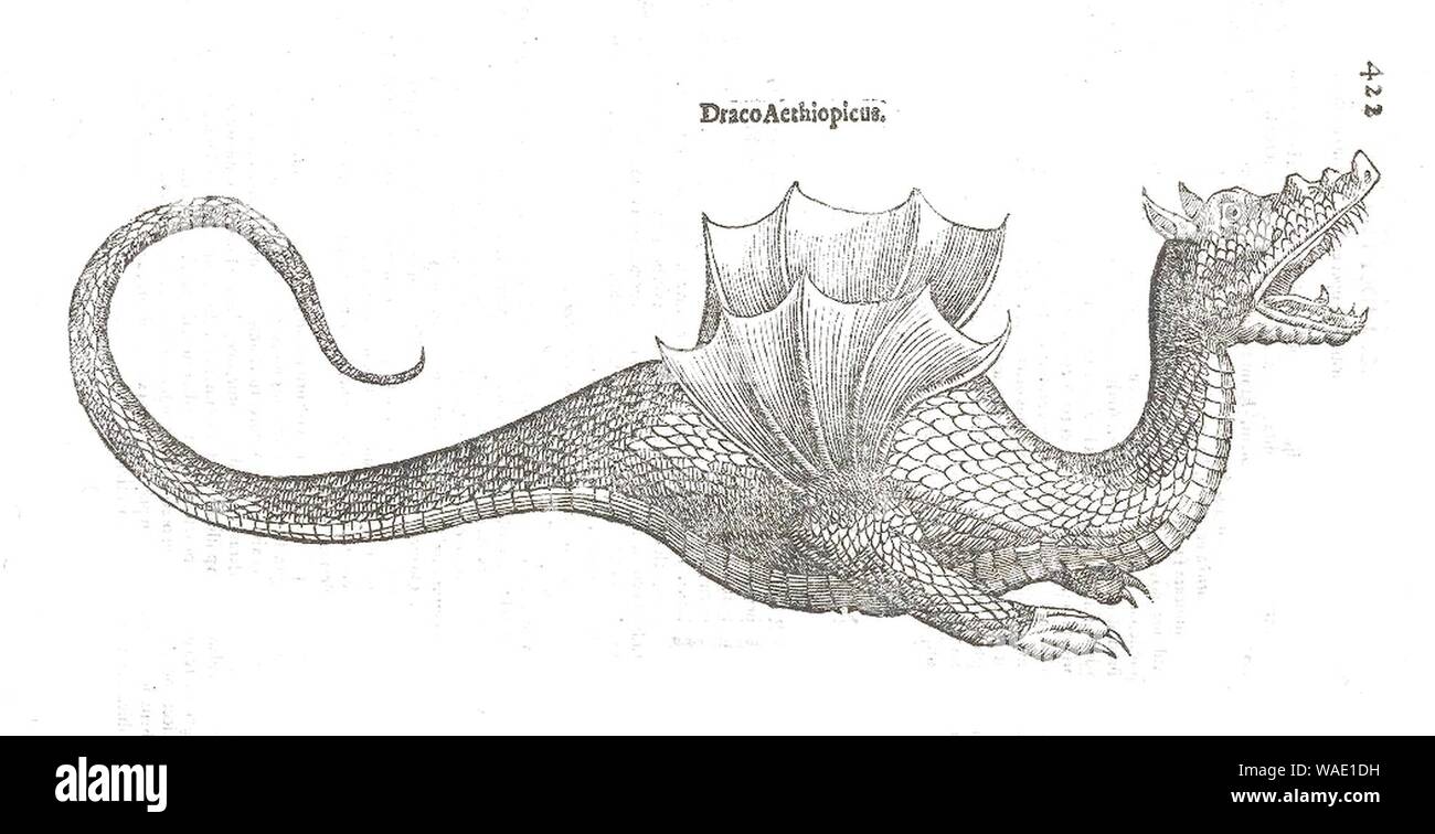 Aldrovandi dragon hi-res stock photography and images - Alamy