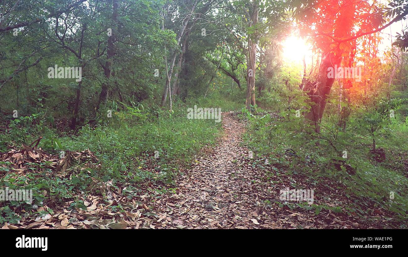 Winding mountain road through tropical hi-res stock photography and ...