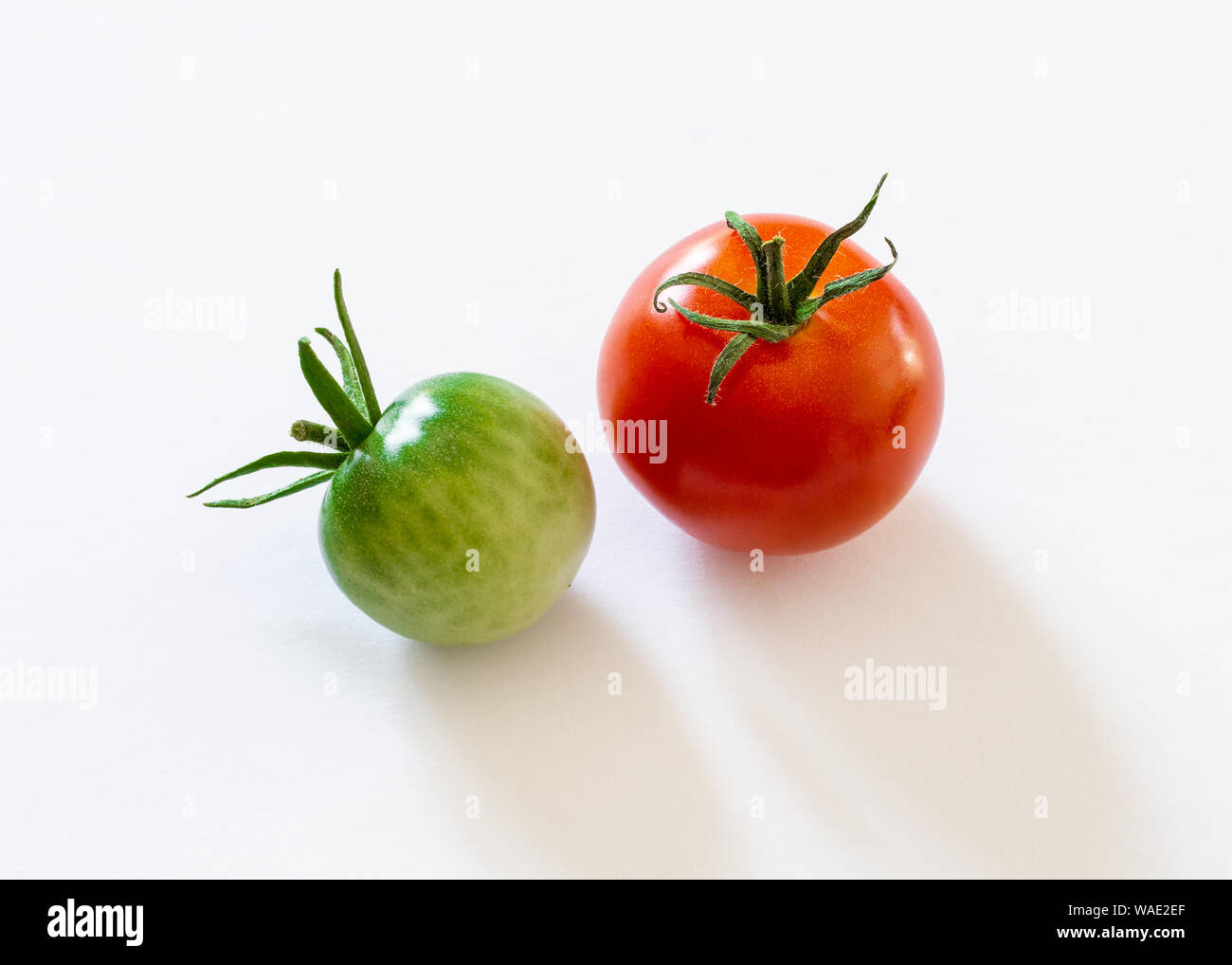 small cherry tomatoes on white background Stock Photo - Alamy