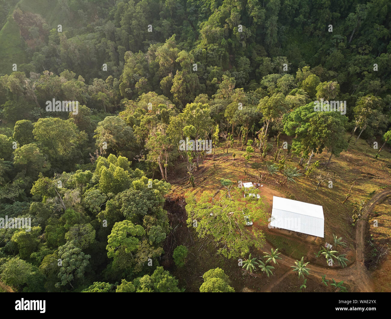 Aerial view on roof art hi-res stock photography and images - Alamy