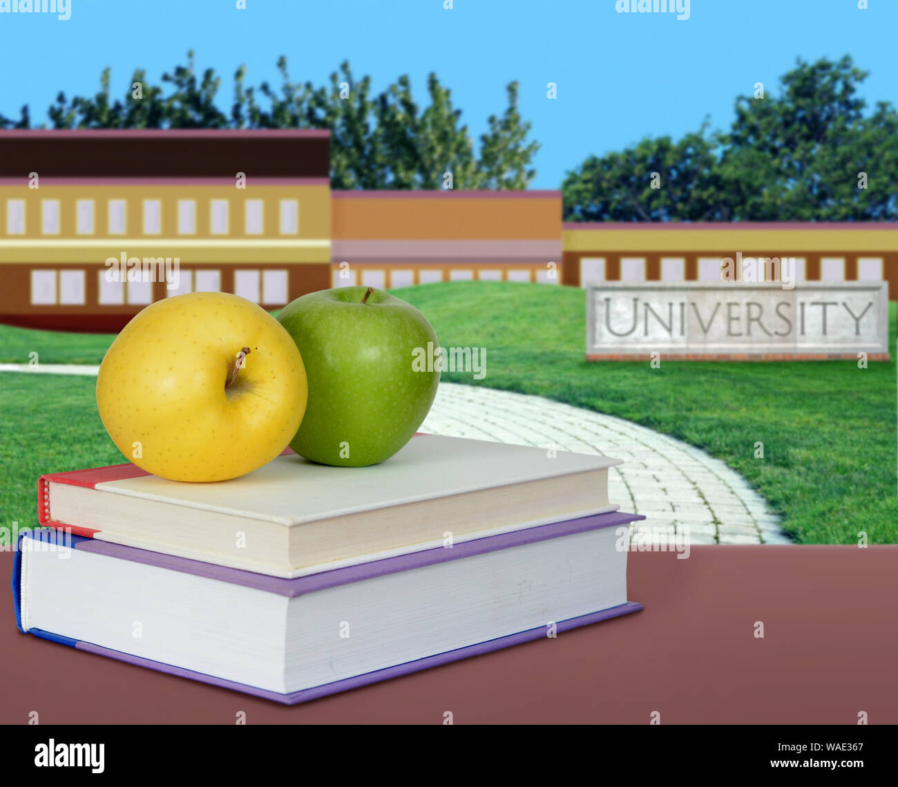 education concept: path to college or university Stock Photo - Alamy