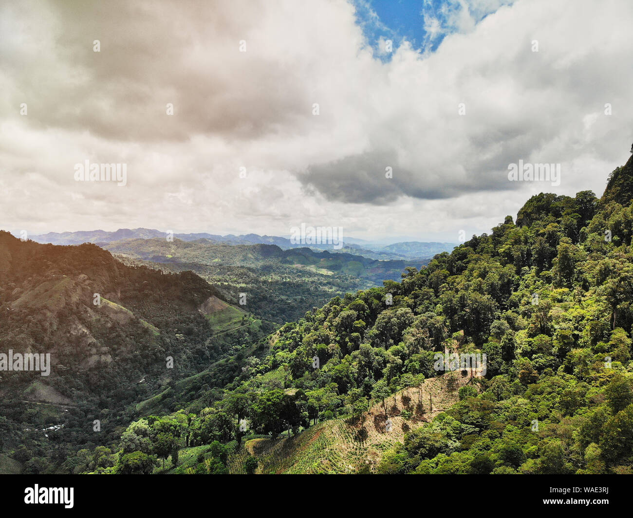 Coffee field hi-res stock photography and images - Alamy
