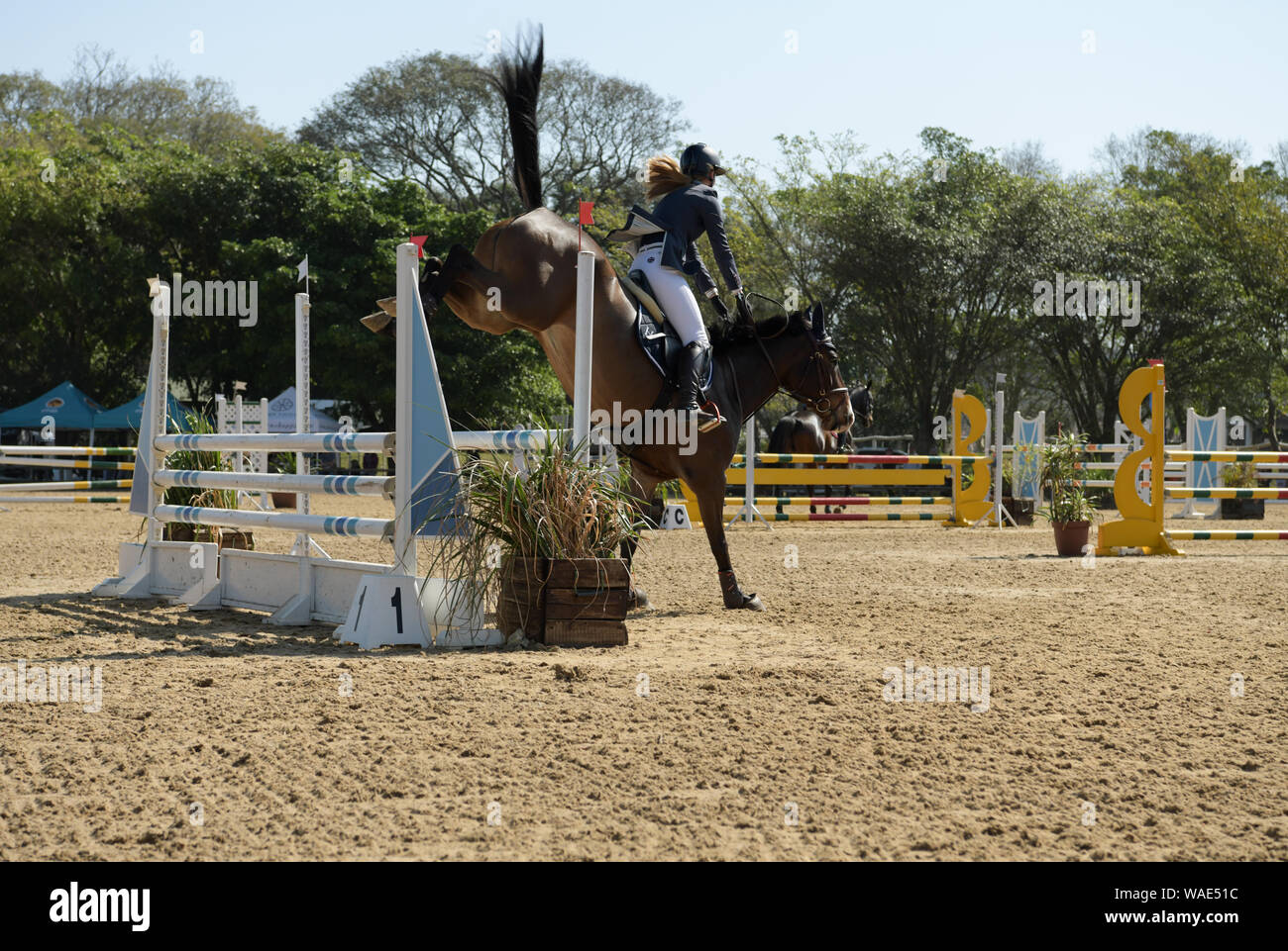 Horse landing after jump hi-res stock photography and images - Alamy