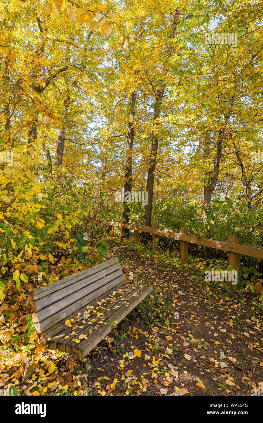 Macdonald island park hi-res stock photography and images - Alamy