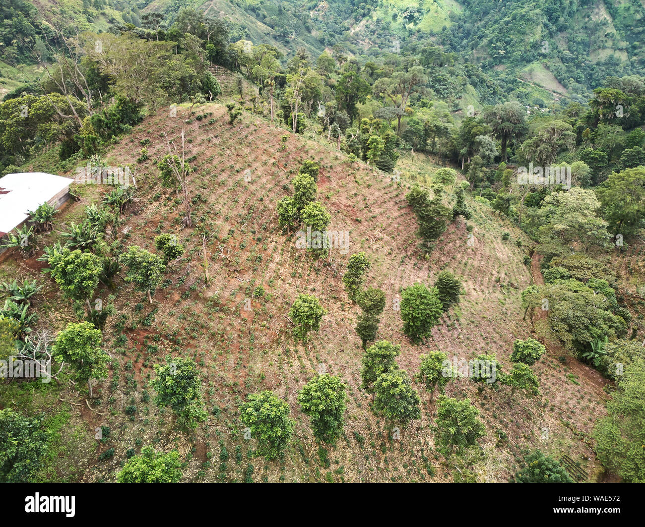 American farmland aerial hi-res stock photography and images - Alamy