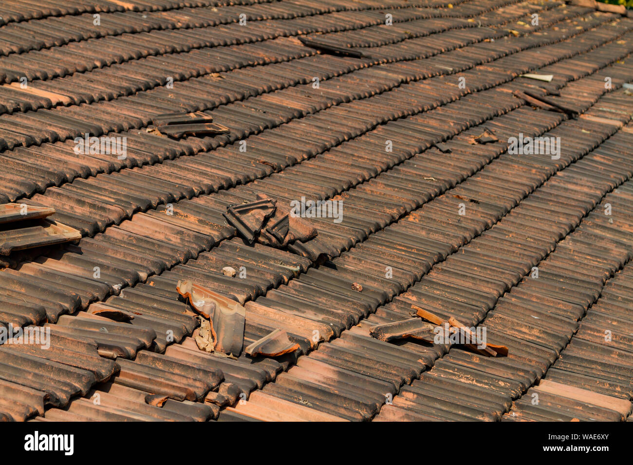 Broken old terracotta tile on a roof, traditional cover in India, GOA ...