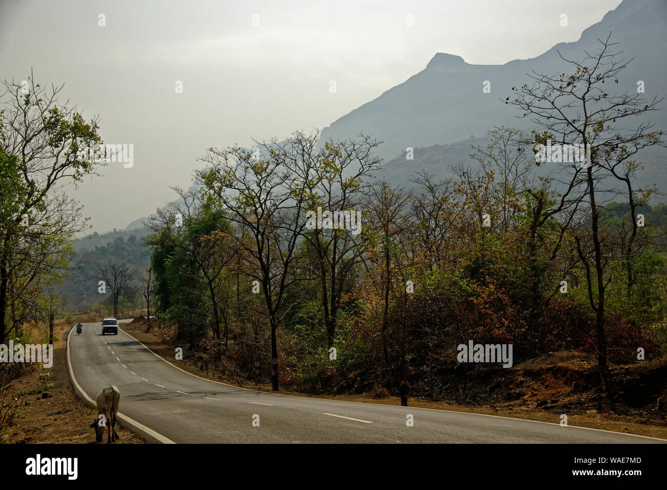 Noontime hi-res stock photography and images - Alamy