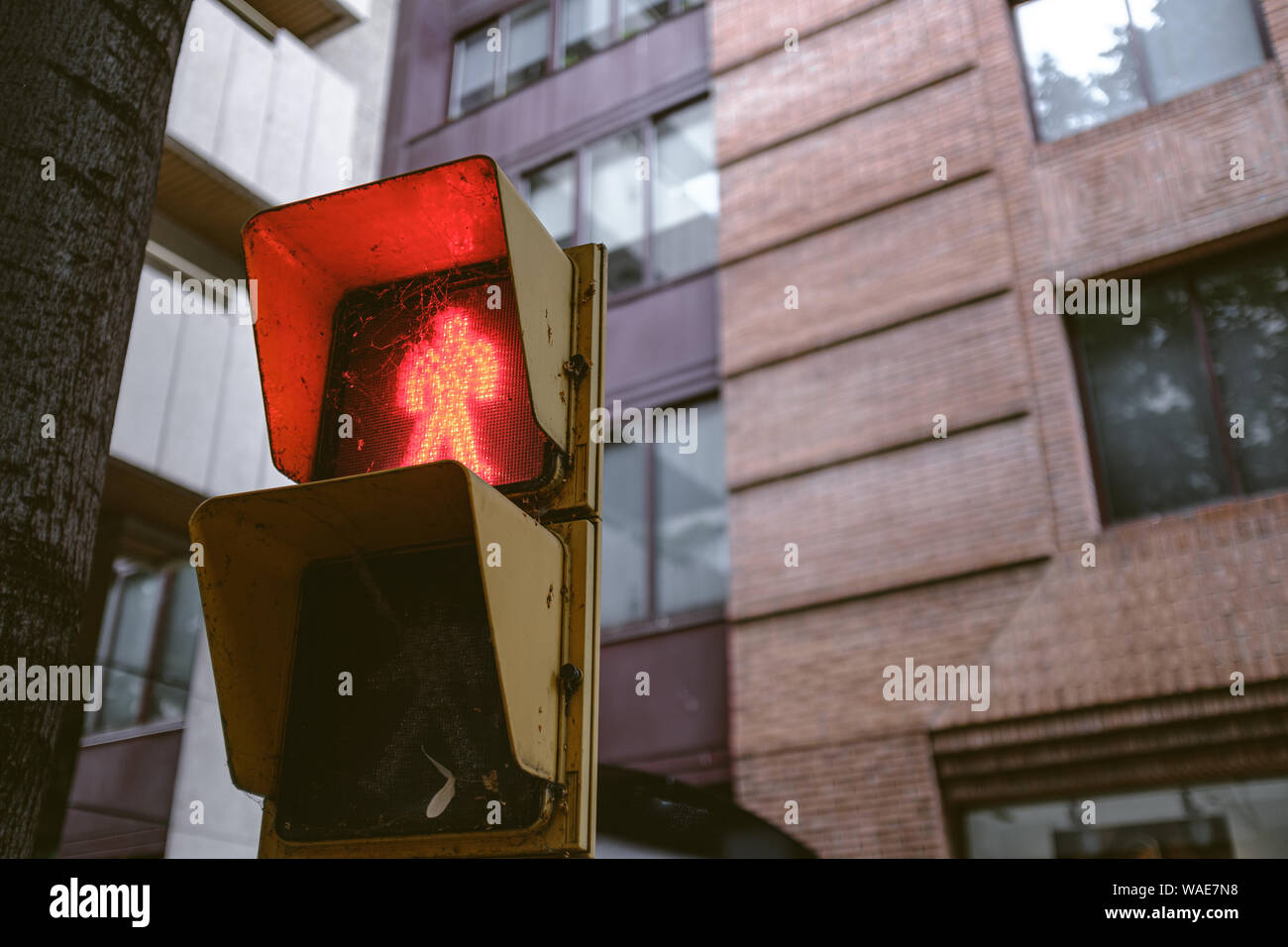 Red traffic light for pedestrians on a urban close up scene Stock Photo ...