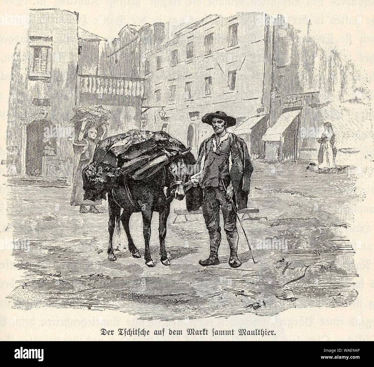 Istro hi-res stock photography and images - Alamy