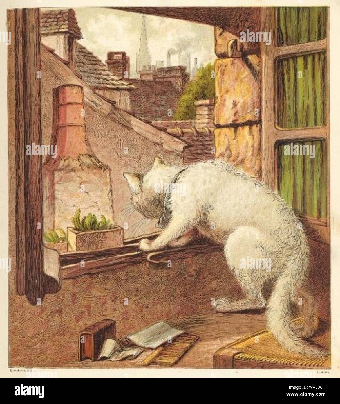 Drawing of Escaping Cat Stock Photo - Alamy