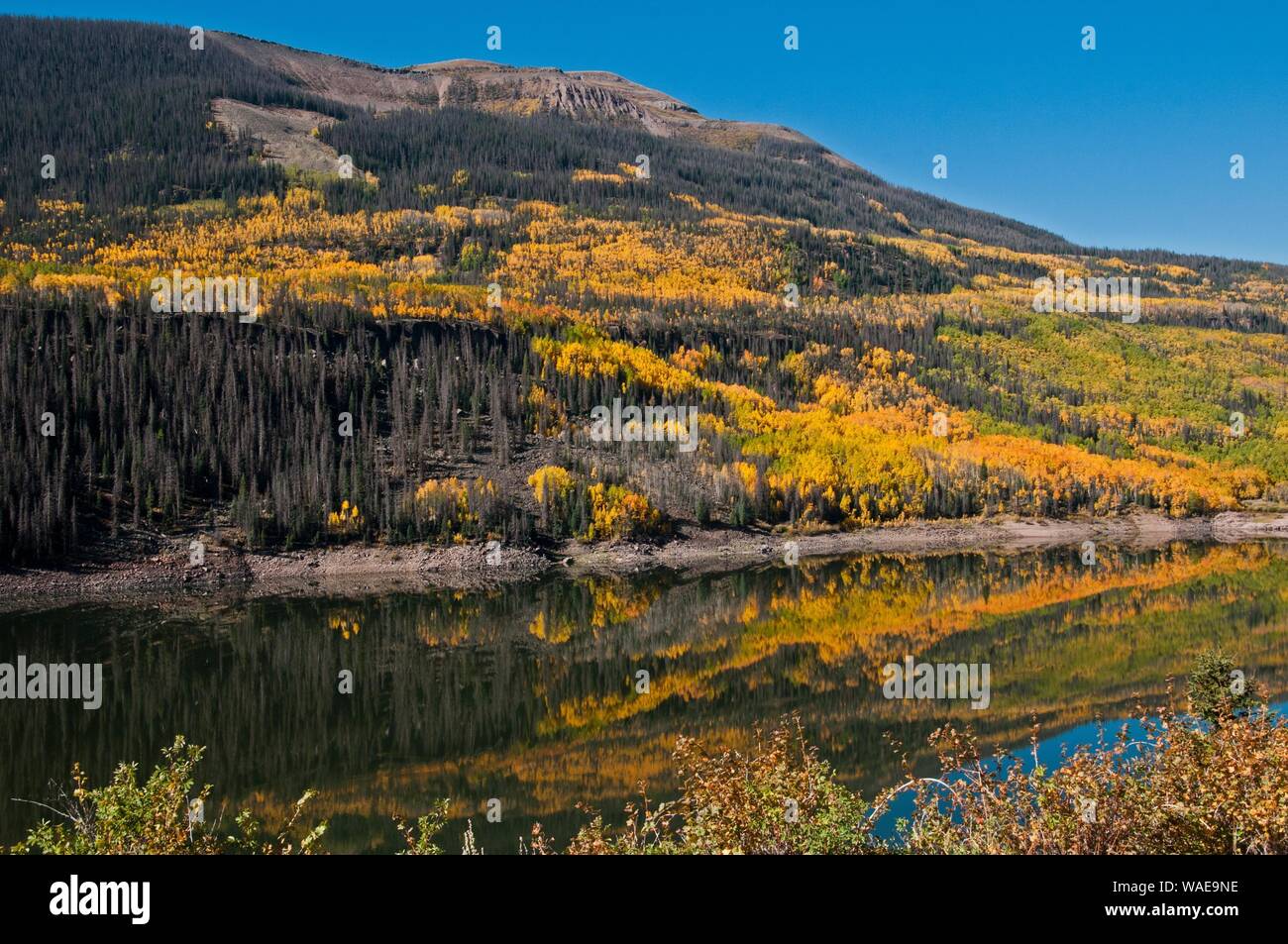 Colorado Highway 149 High Resolution Stock Photography and Images - Alamy