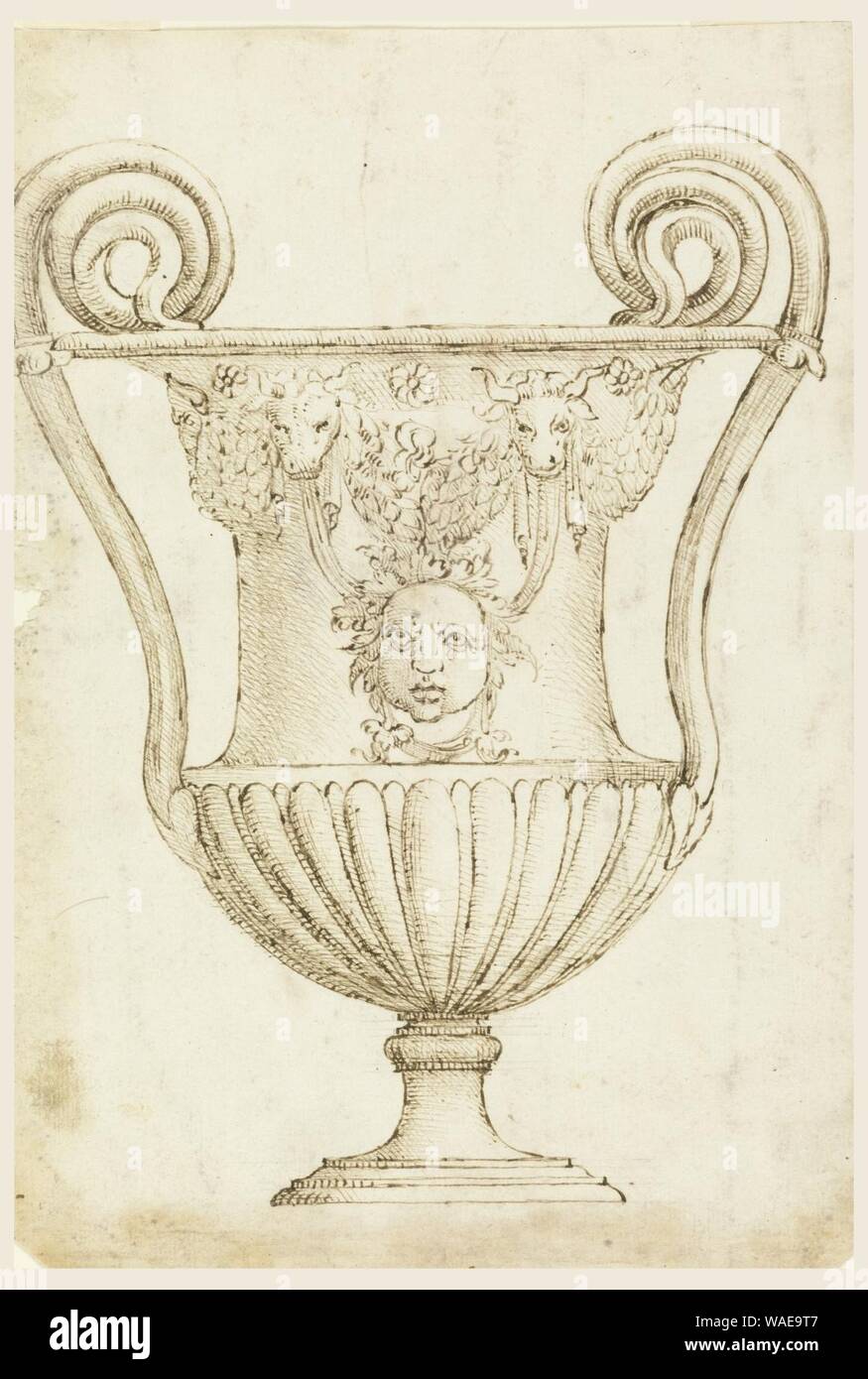 Drawing, A Cantharus, ca. 1575 Stock Photo - Alamy