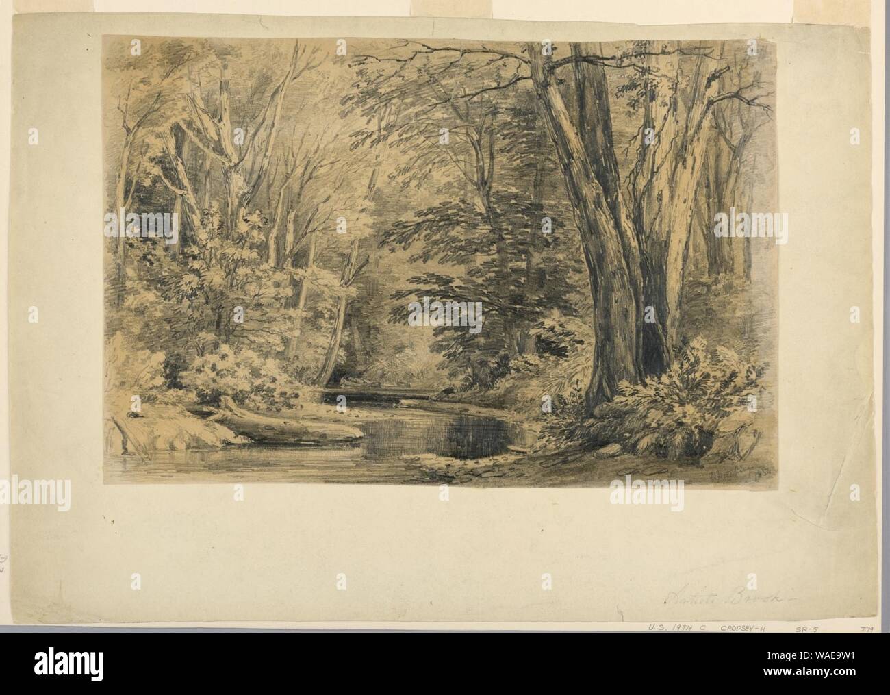 Drawing, A Brook in the Woods, 1854 Stock Photo - Alamy