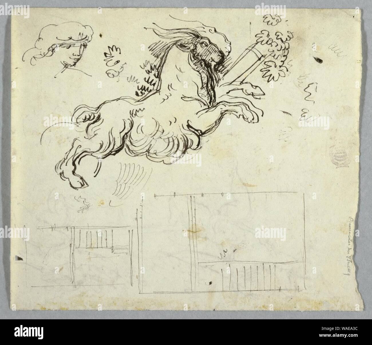 Drawing, A Ram and Architectural Plan Stock Photo - Alamy