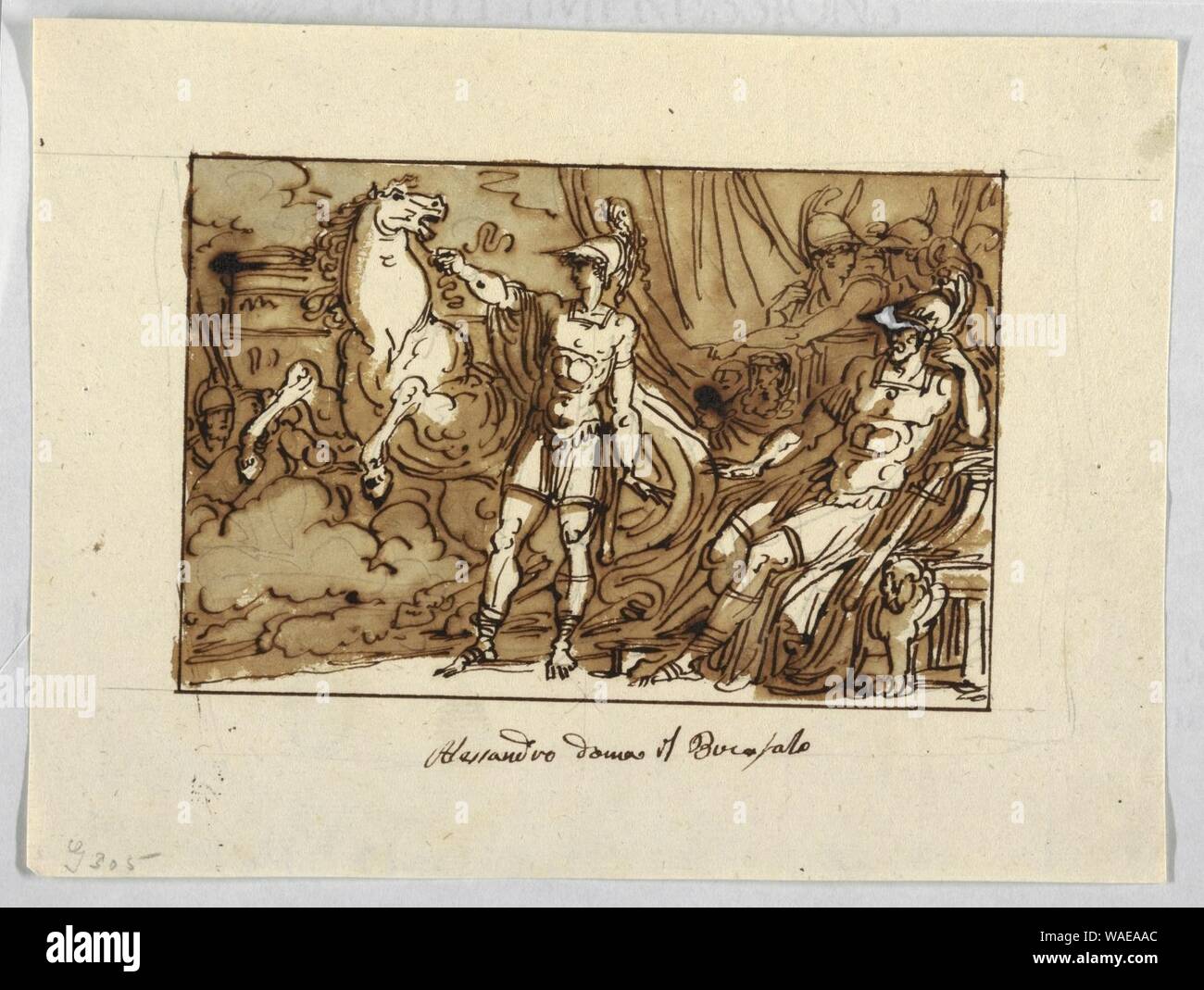 Drawing, Alexander the Great Taming Bucephalus, ca. 1795 Stock Photo ...