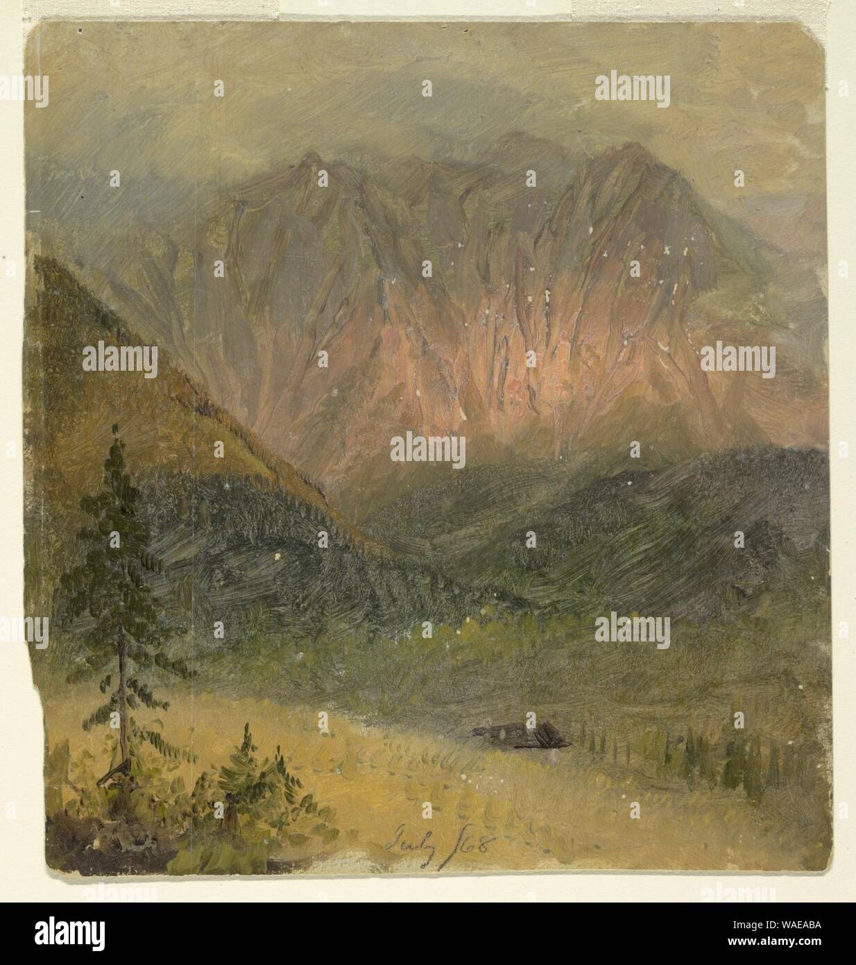 Alpine study hi-res stock photography and images - Alamy