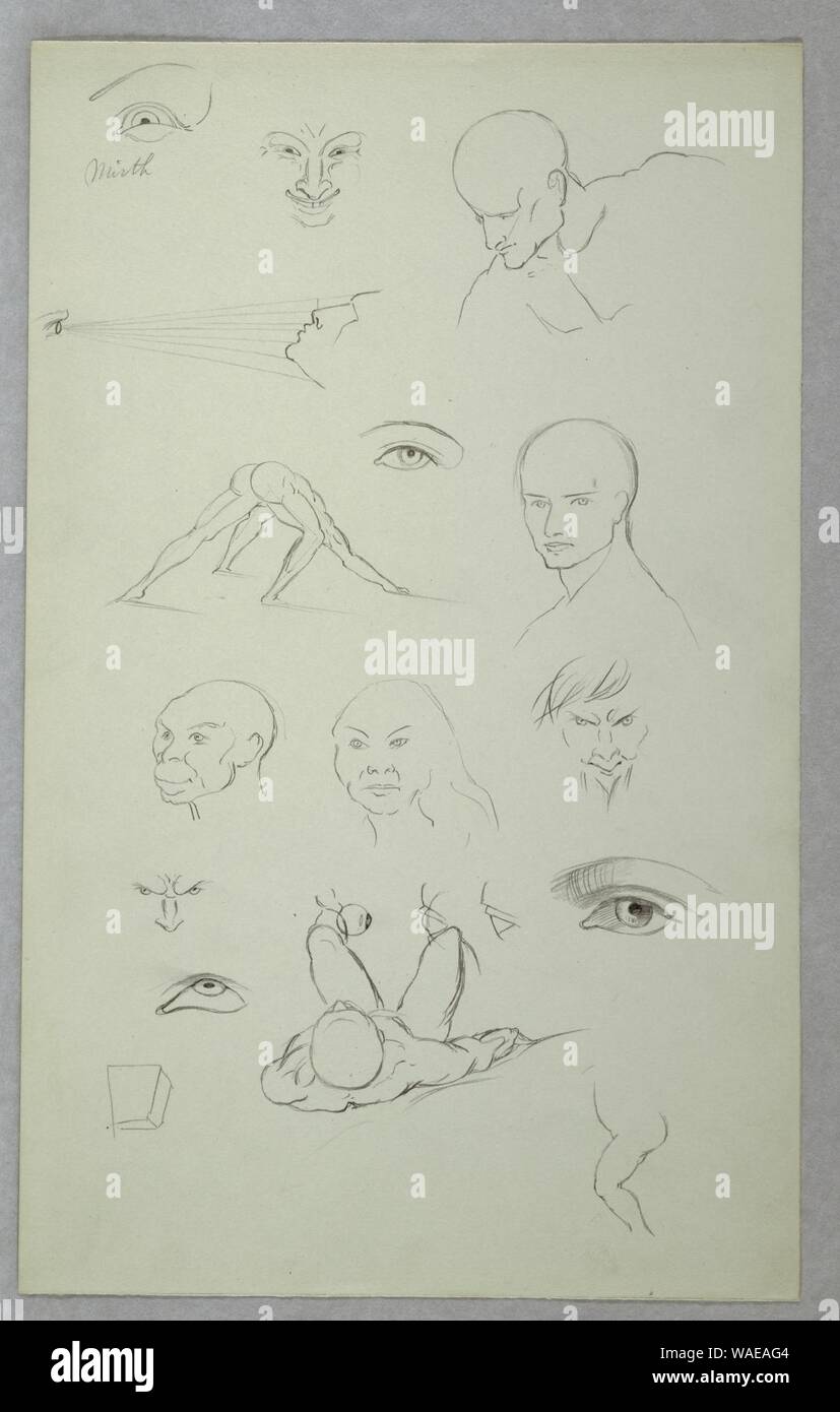 Drawing, Anatomical Studies, 1865–70 Stock Photo - Alamy