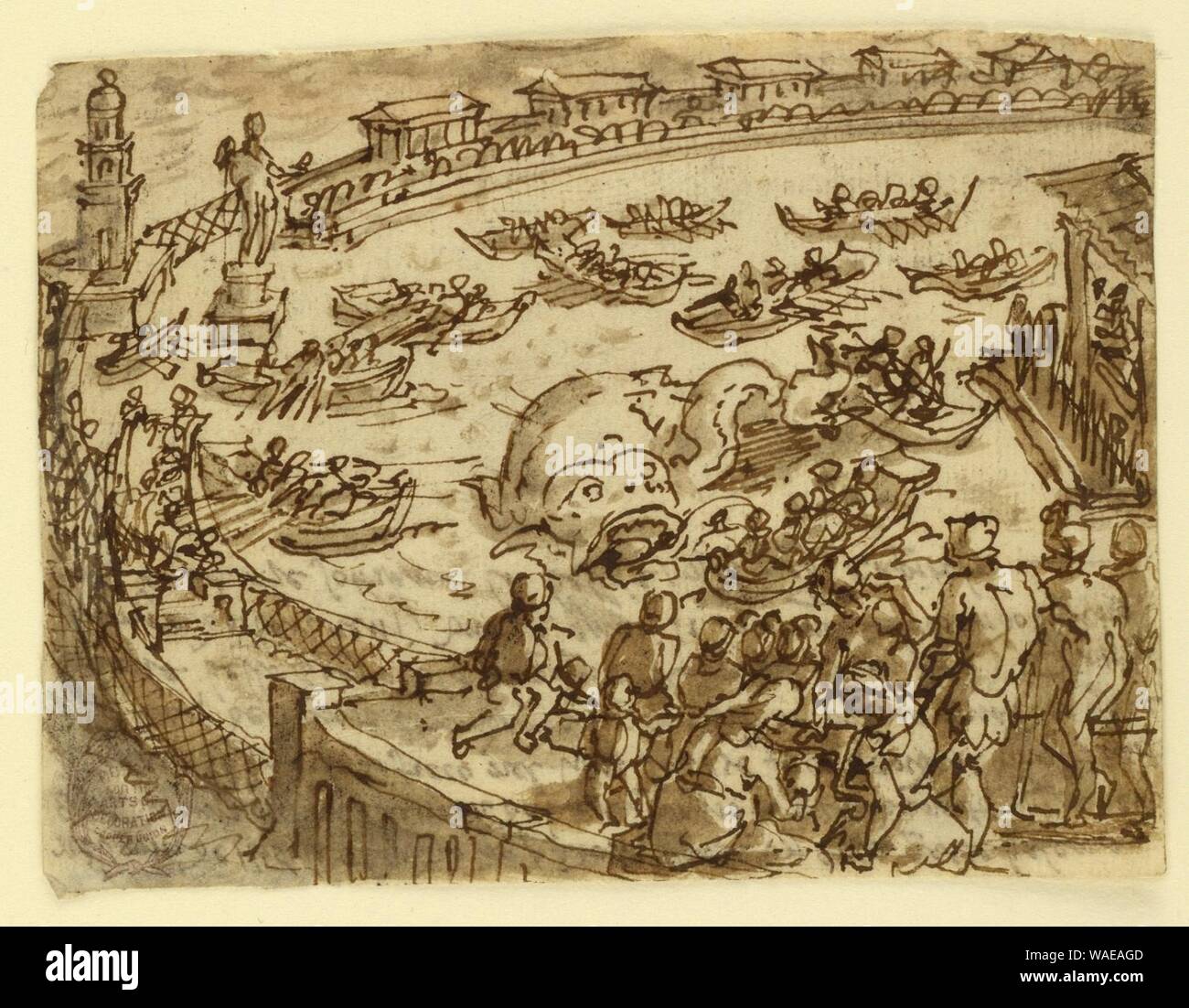 Orca drawing hi-res stock photography and images - Alamy