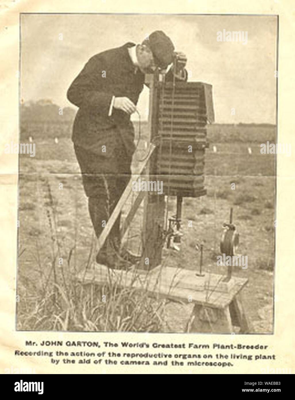 Garton hi-res stock photography and images - Alamy