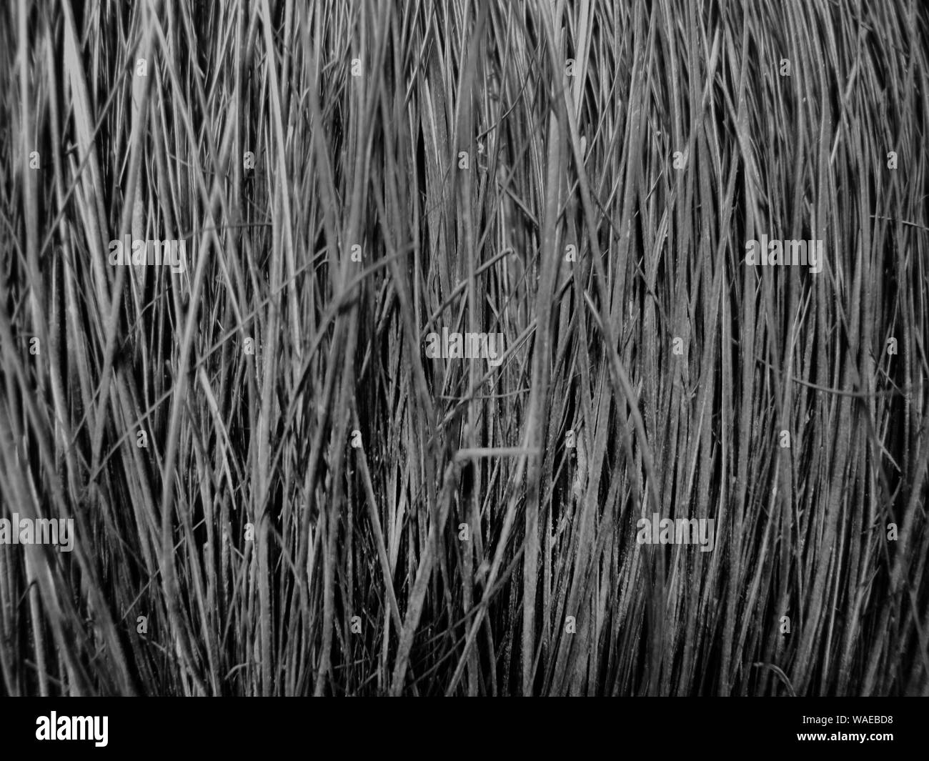 Broom Texture High Resolution Stock Photography and Images - Alamy