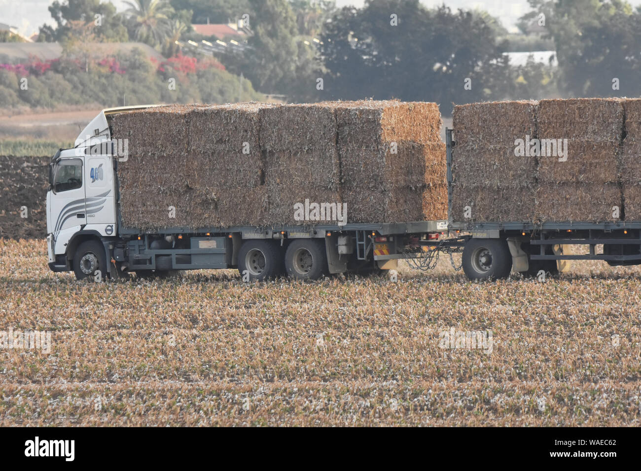 Articulated Straw High Resolution Stock Photography and Images - Alamy