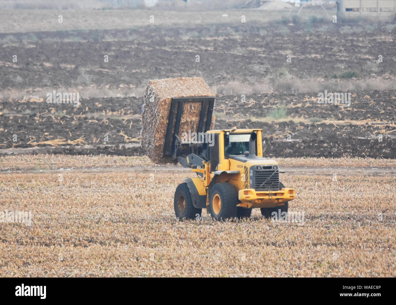 Tractor pick a straw bale Stock Photo - Alamy