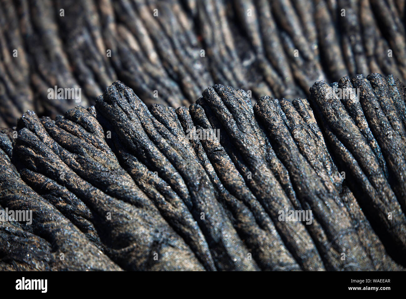 Dried and hardened Lava. Hawaii Stock Photo - Alamy