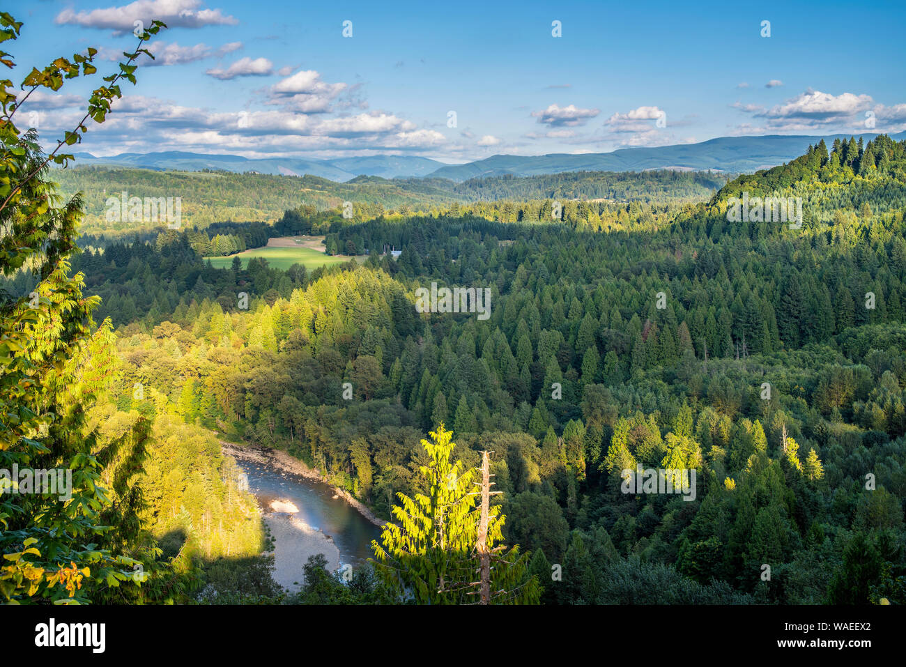 Jonsrud viewpoint forests and the Sandy river landscape panorama Oregon ...