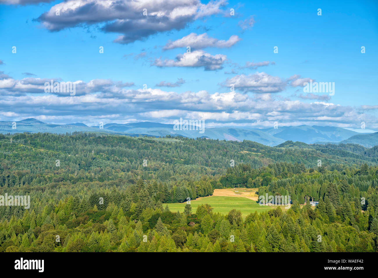 Jonsrud viewpoint forests and the Sandy river landscape panorama Oregon ...