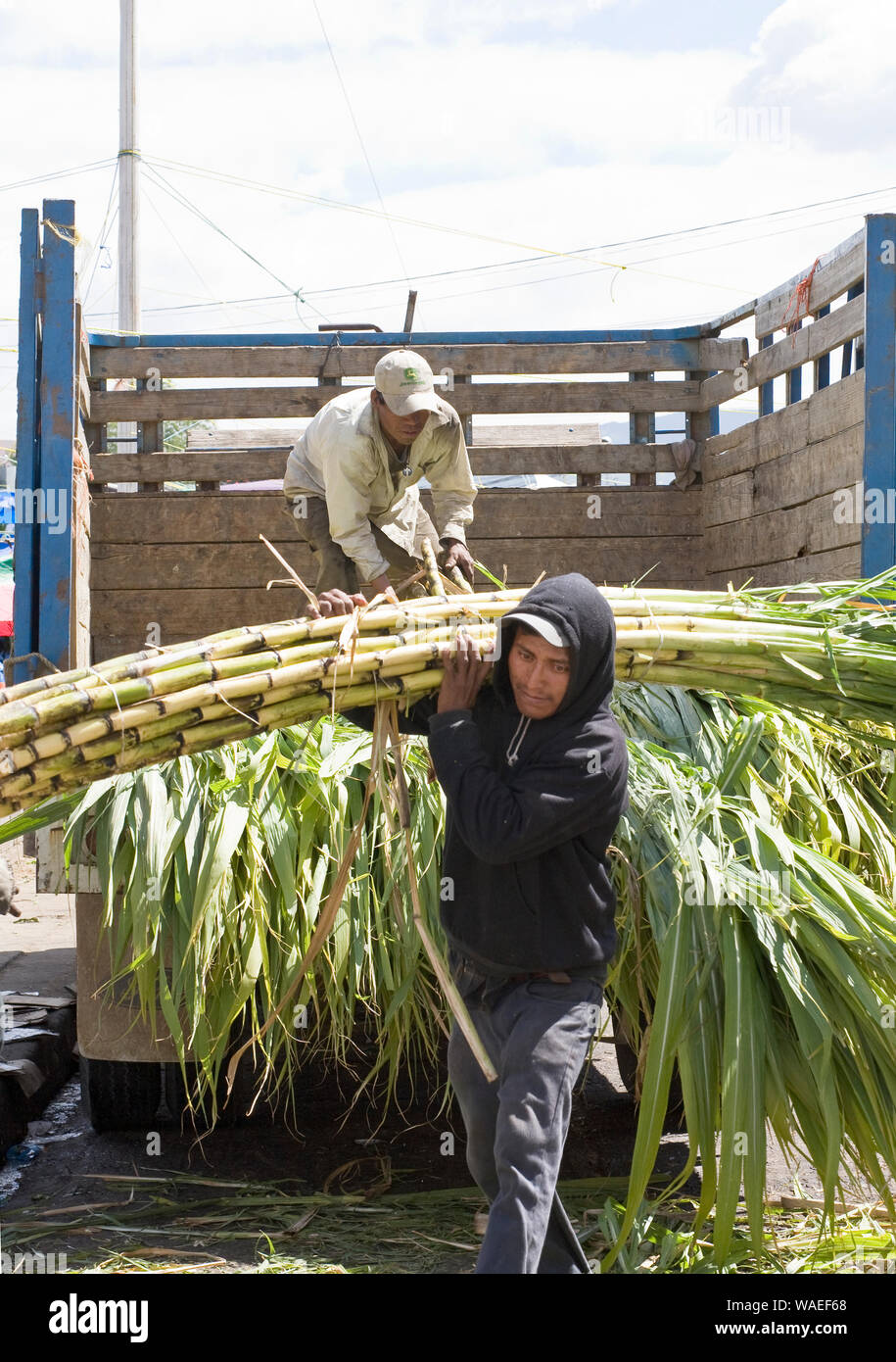 Mexico farm workers hi-res stock photography and images - Alamy