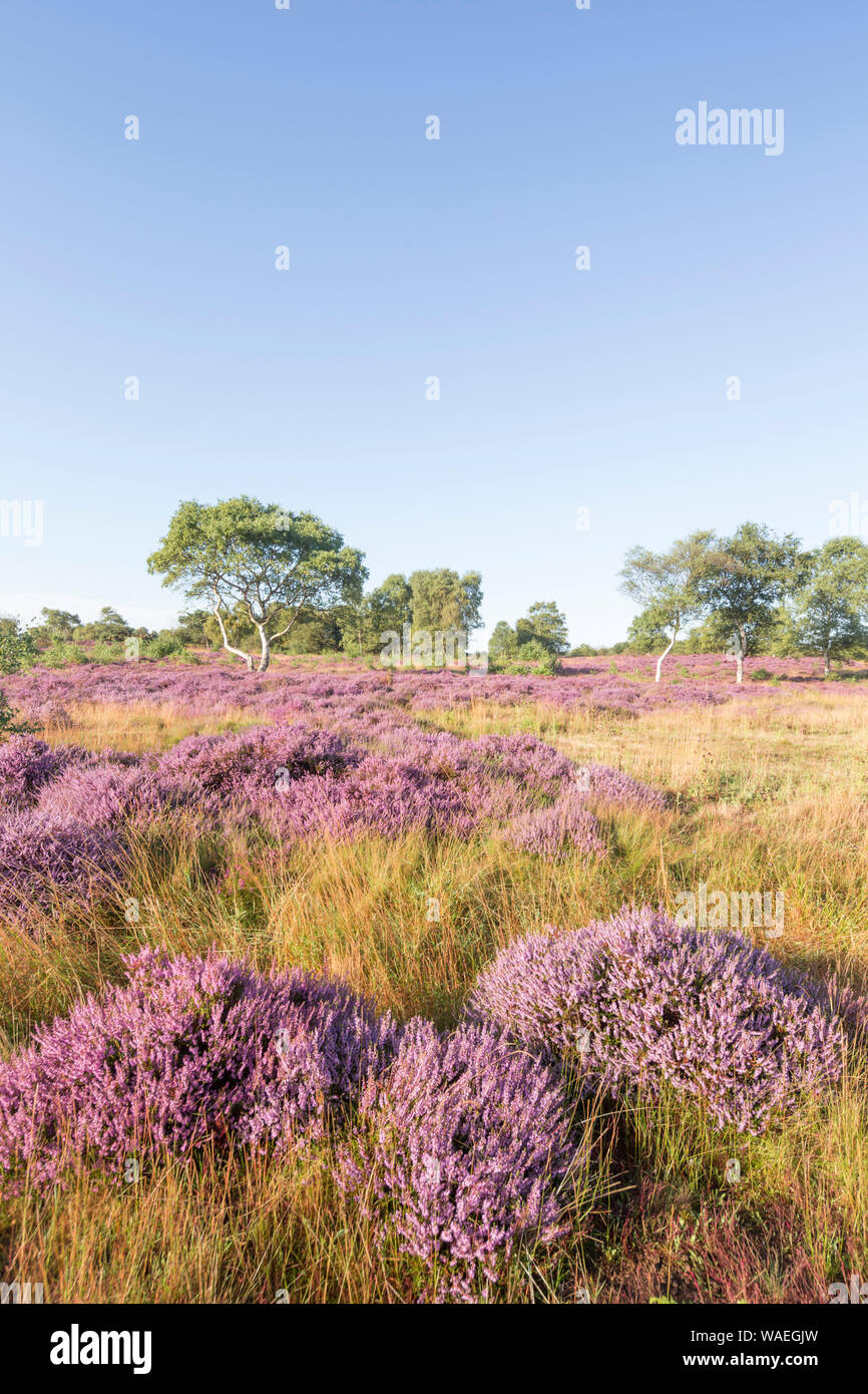 Nnr national nature reserve reserves hi-res stock photography and ...