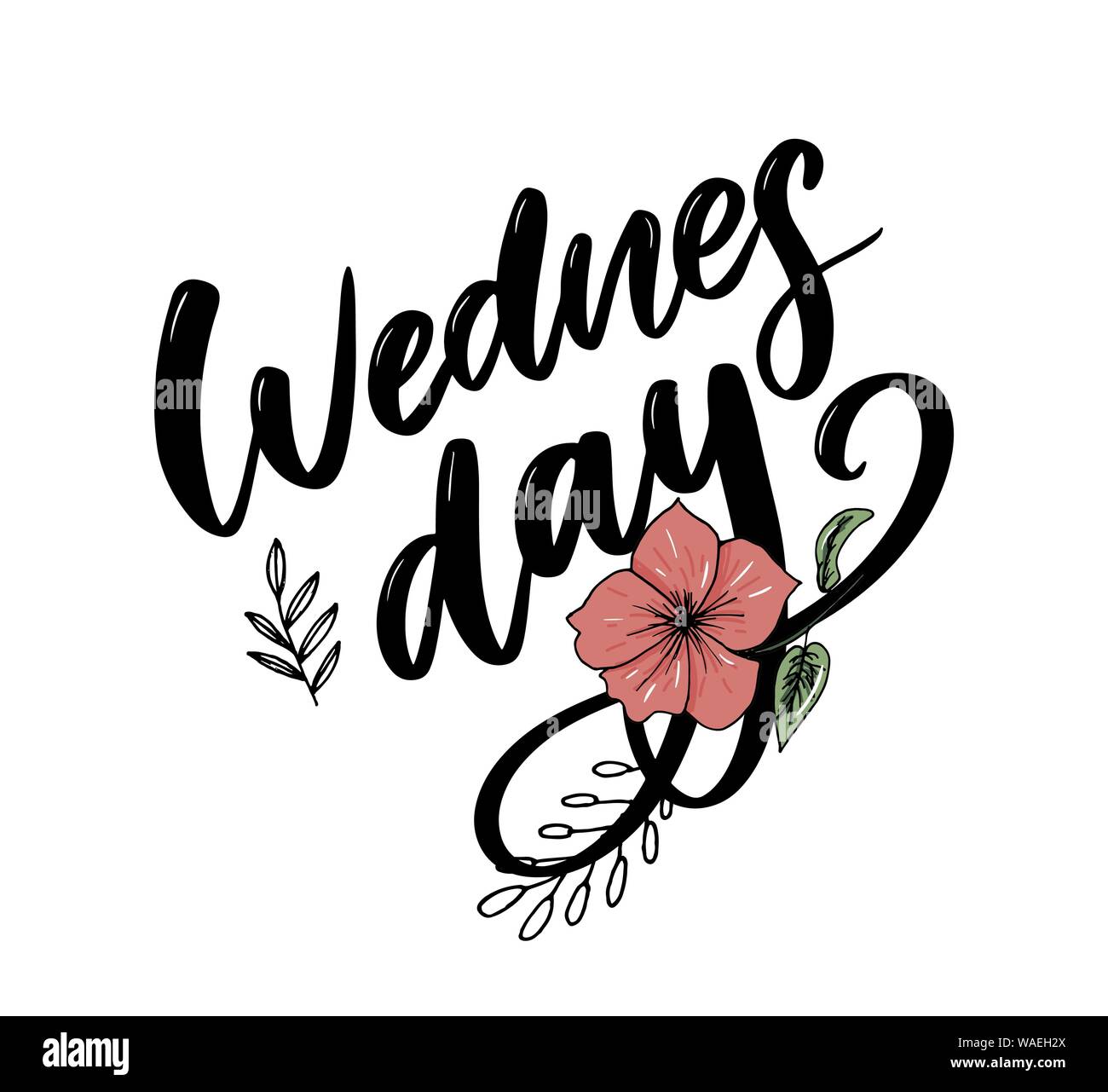 Wednesday words. Quote design. Hand drawn ink lettering Stock Vector ...