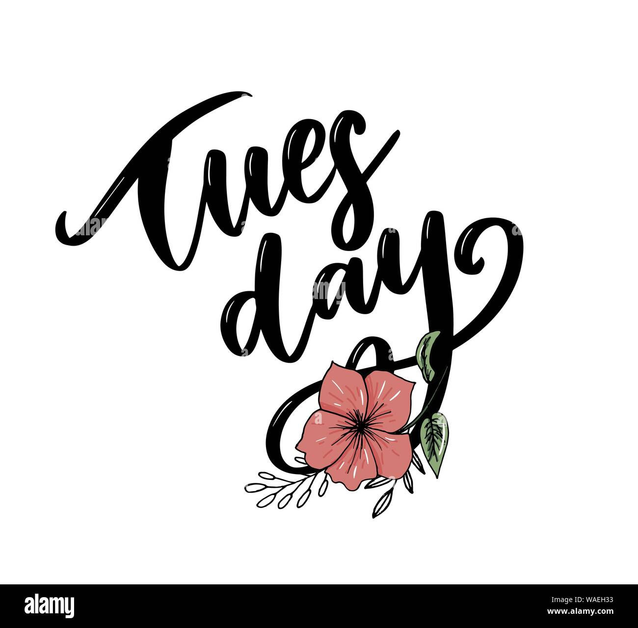 Hello Tuesday words. Quote design. Hand drawn ink lettering Stock ...