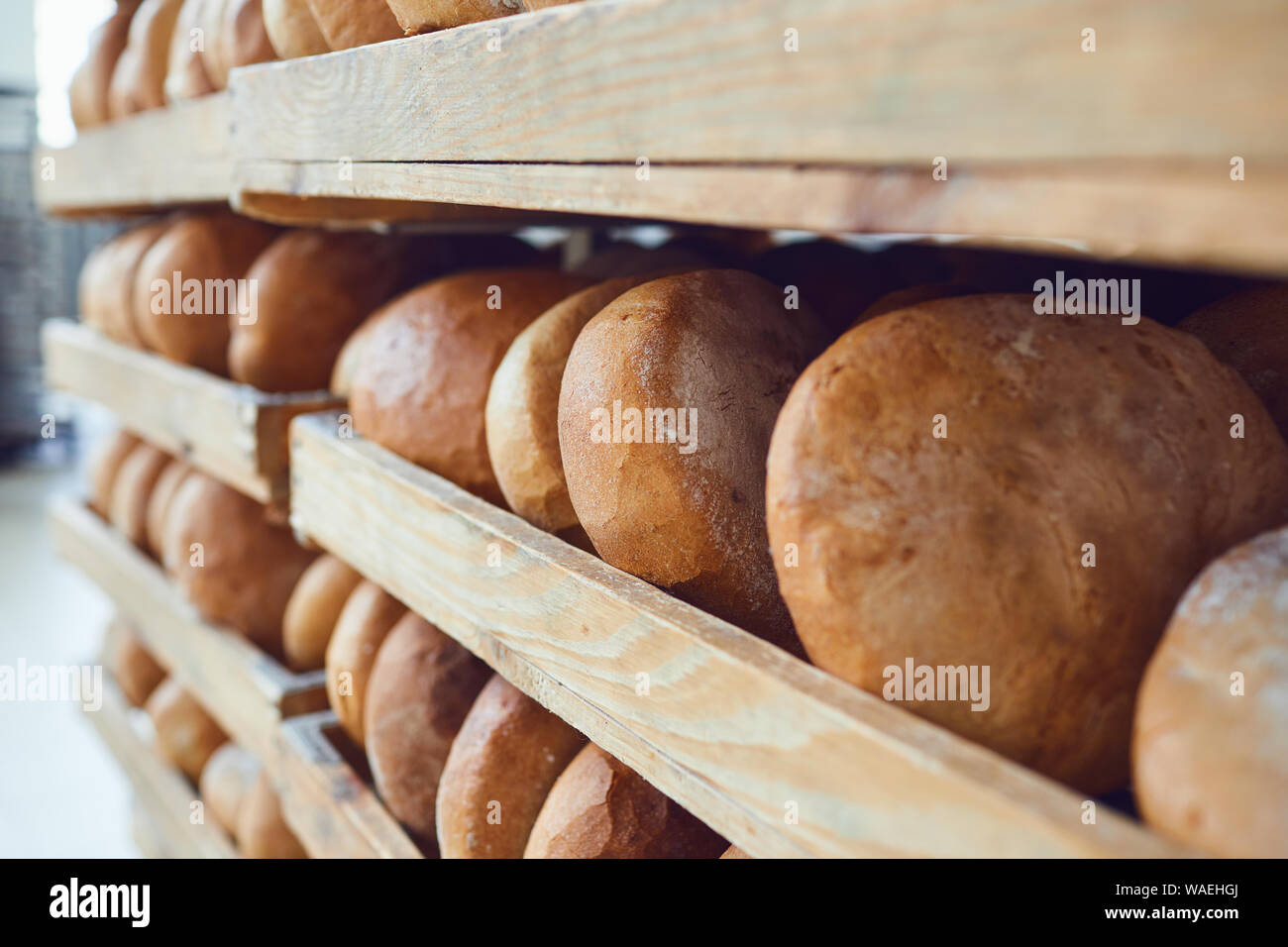 Lots of bread hi-res stock photography and images - Alamy