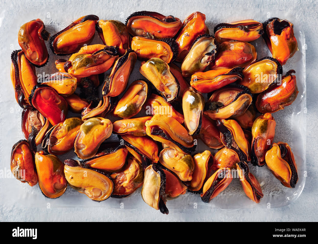cooked mussels on an opacity plastic tray on a white concrete table ...