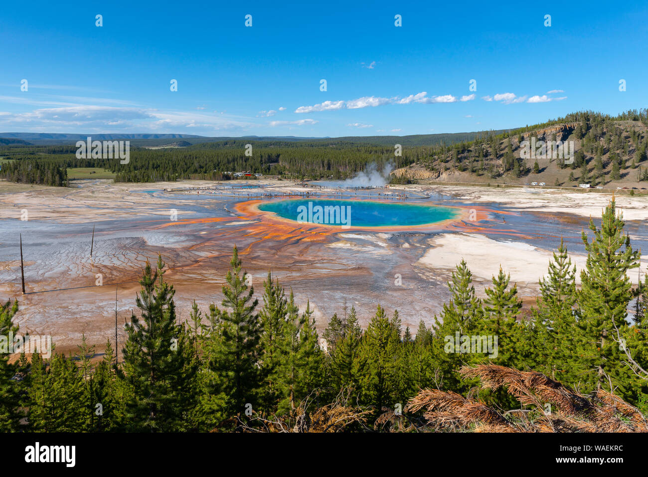 Grand Prismatic Spring, Yellowstone National Park, Wyoming, USA Stock Photo - Alamy