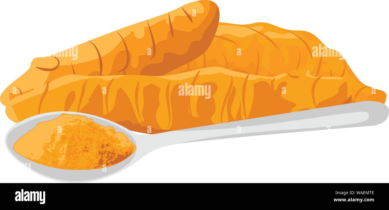 Turmeric roots and powder in in a spoon on a white background vector ...